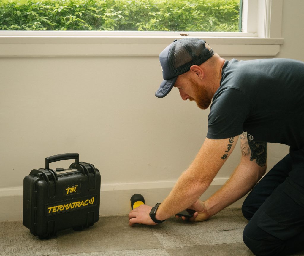 Top Tips to Get Rid of Termites Effectively